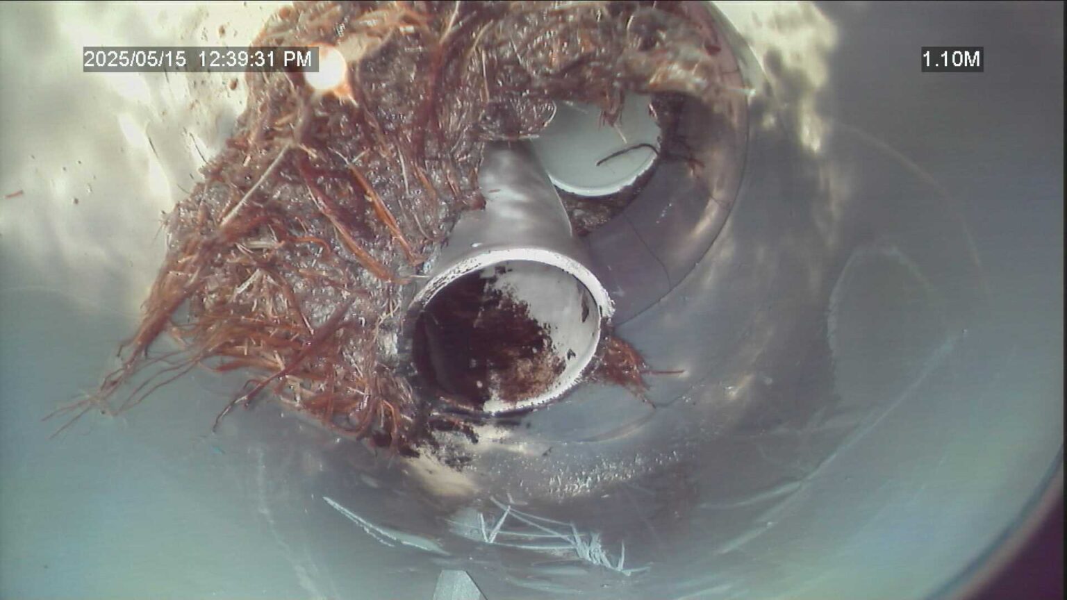 Tree Roots in Plumbing Pipes: A Hidden Problem - Fallon Solutions